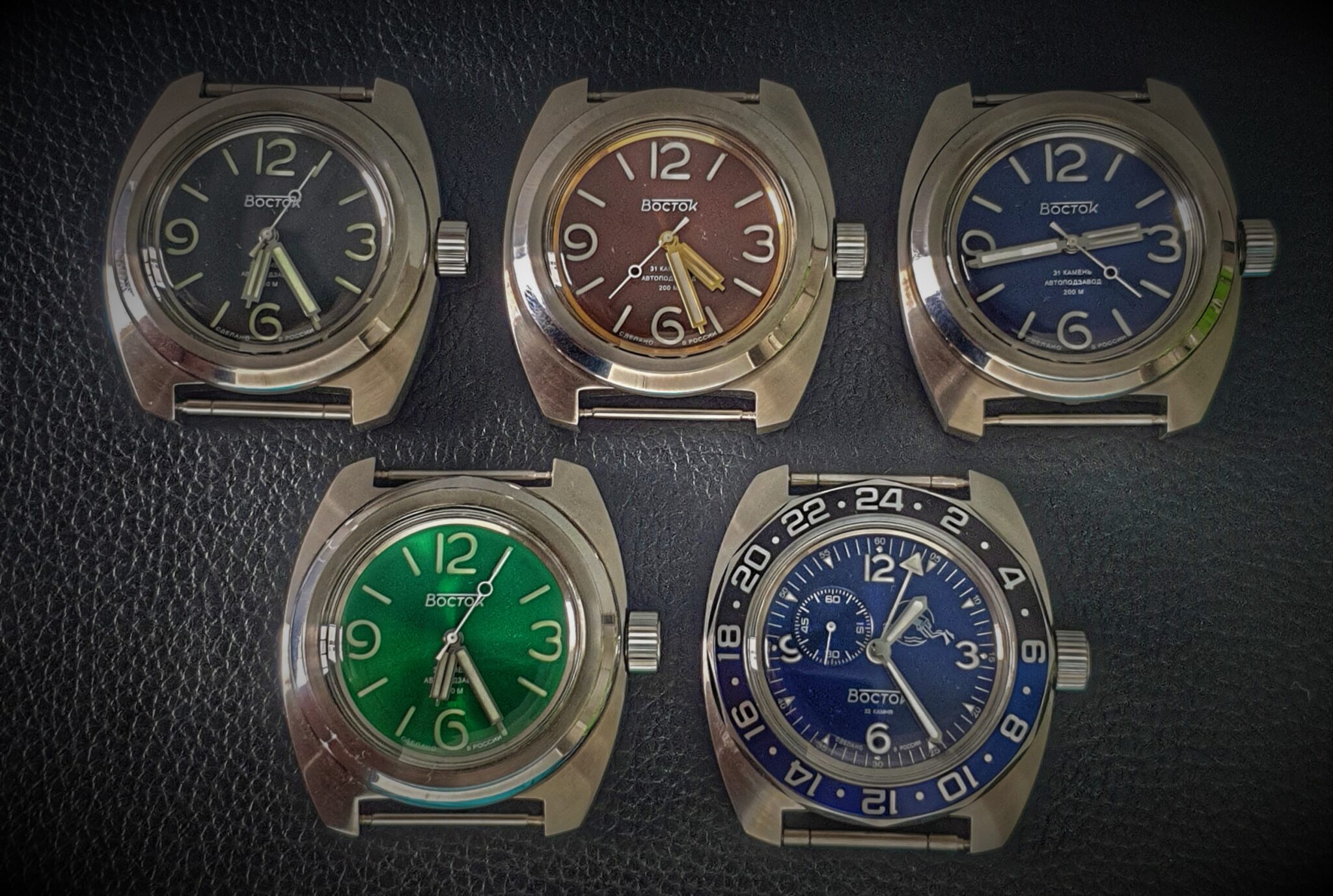 Vostok Amphibia 170: Los “Pamphibia” - SaFonaGastroCrono