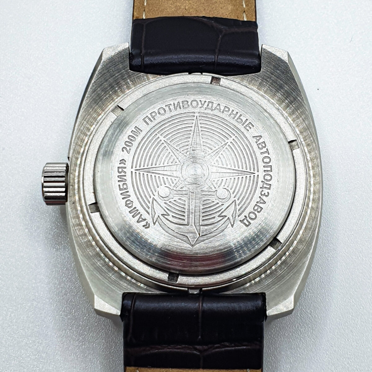 Vostok Amphibia 170: Los “Pamphibia” - SaFonaGastroCrono