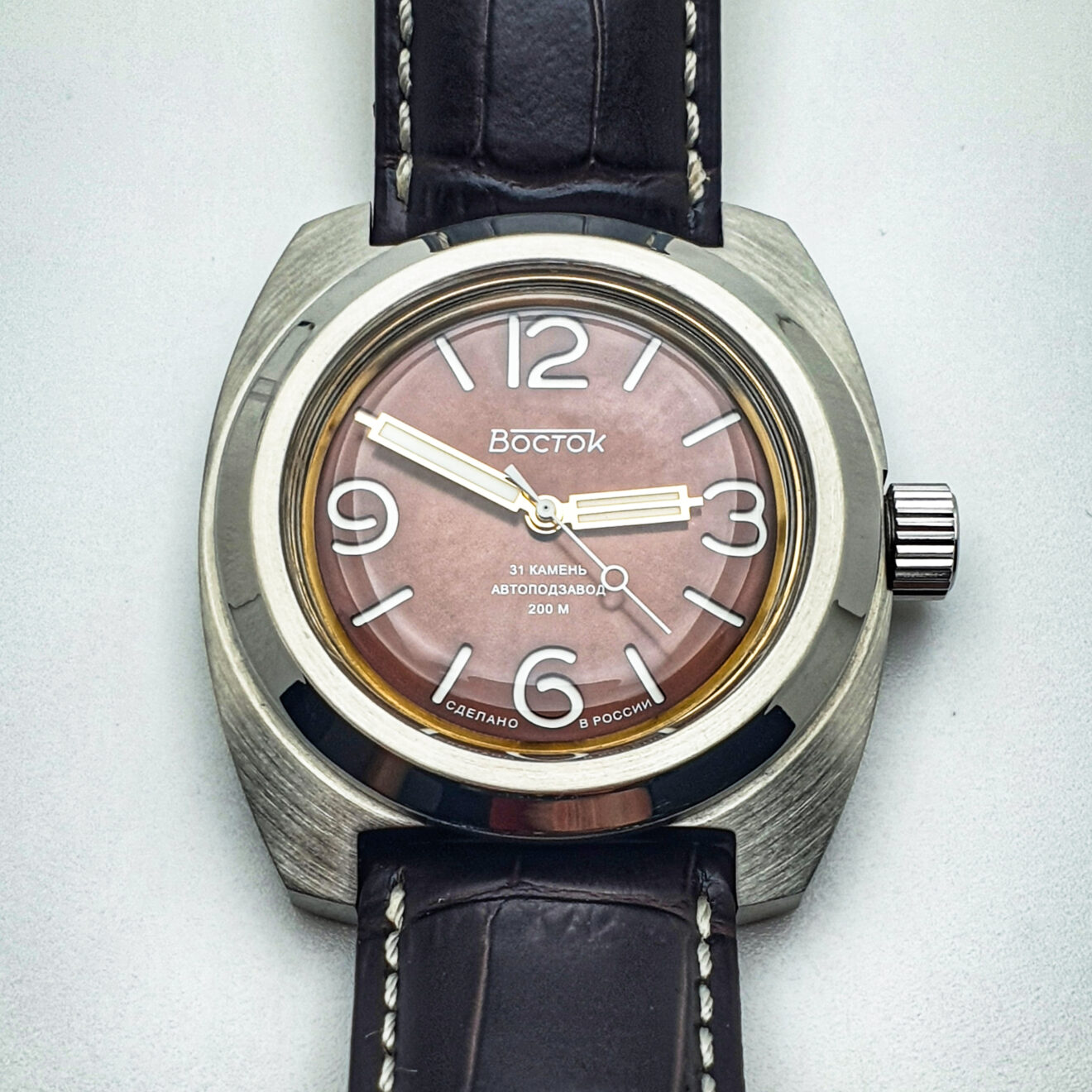 Vostok Amphibia 170: Los “Pamphibia” - SaFonaGastroCrono