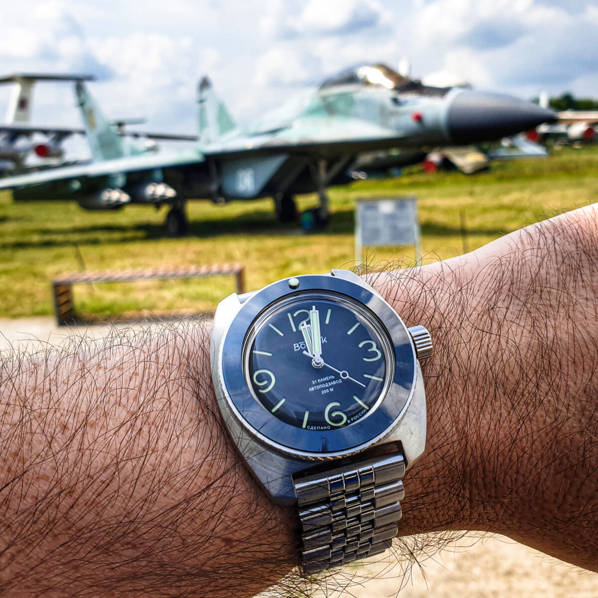 Vostok Amphibia 170: Los “Pamphibia” - SaFonaGastroCrono