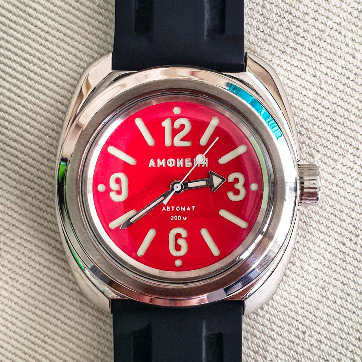 Vostok Amphibia 170: Los “Pamphibia” - SaFonaGastroCrono