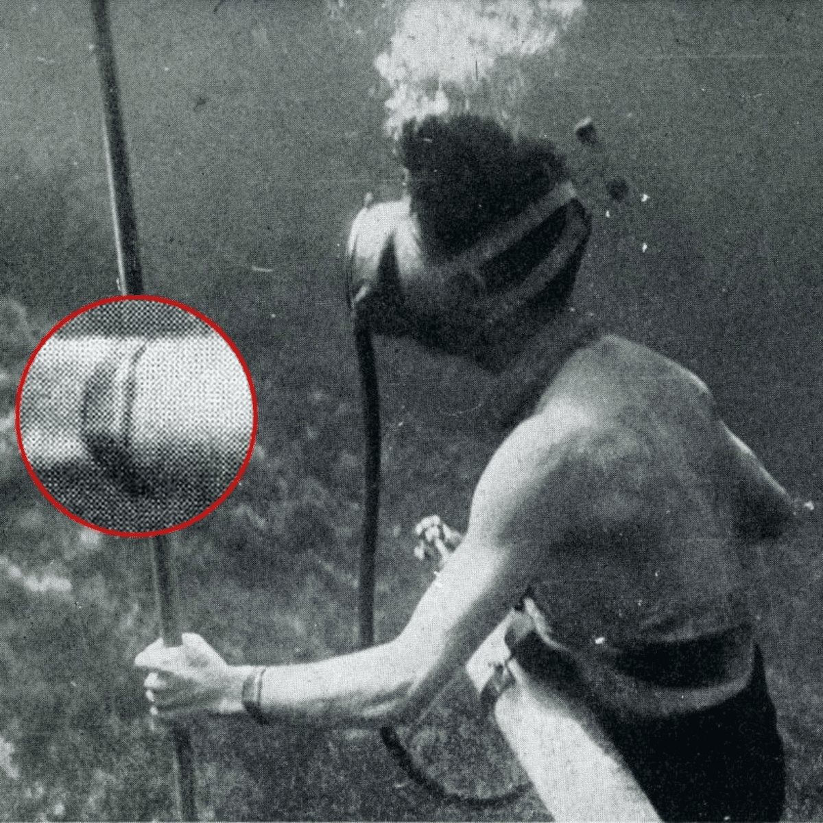 Diver Watches: Omega Marine - SaFonaGastroCrono